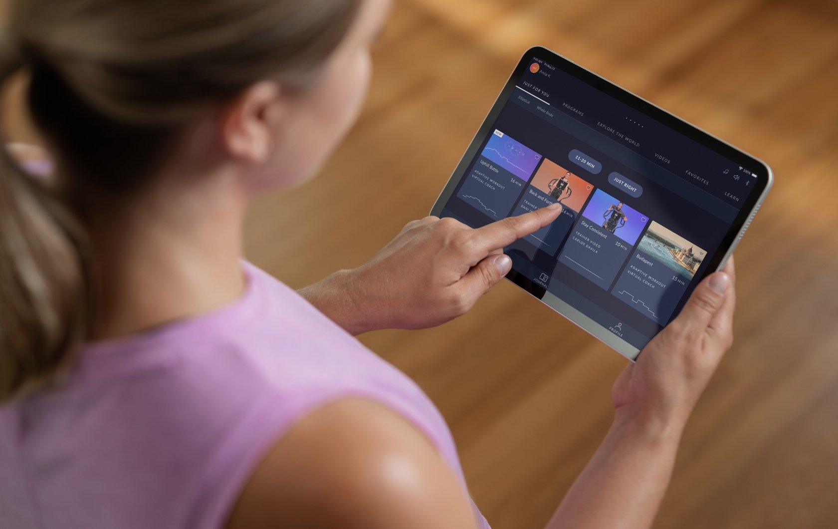 Schwinn 490 Elliptical | Schwinn