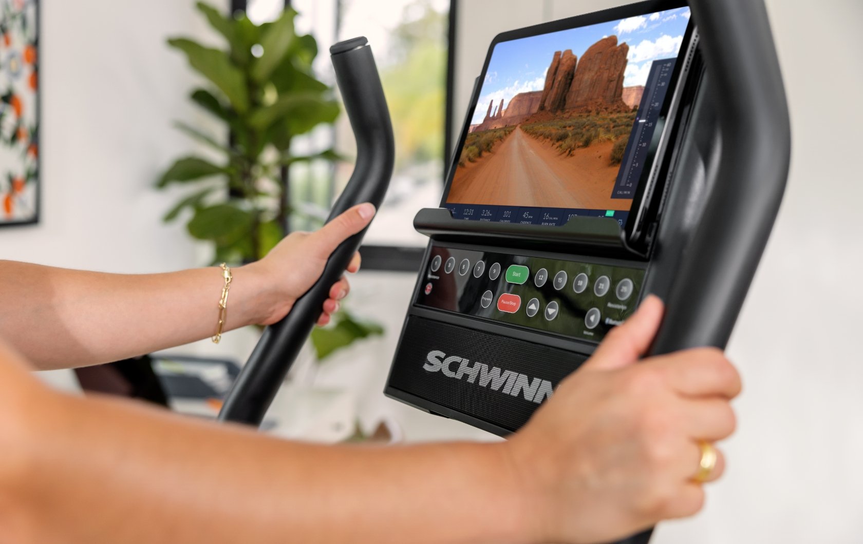 190 Upright Bike - An affordable escape that connects with your JRNY ...